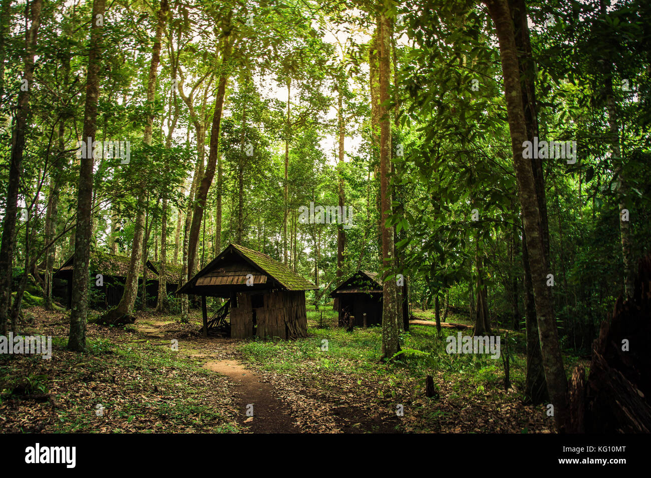 Old wooden cottage in the forest Stock Photo - Alamy