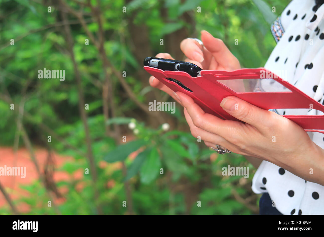 Female's hand holding cellphone and swiping the phone with another hand ...