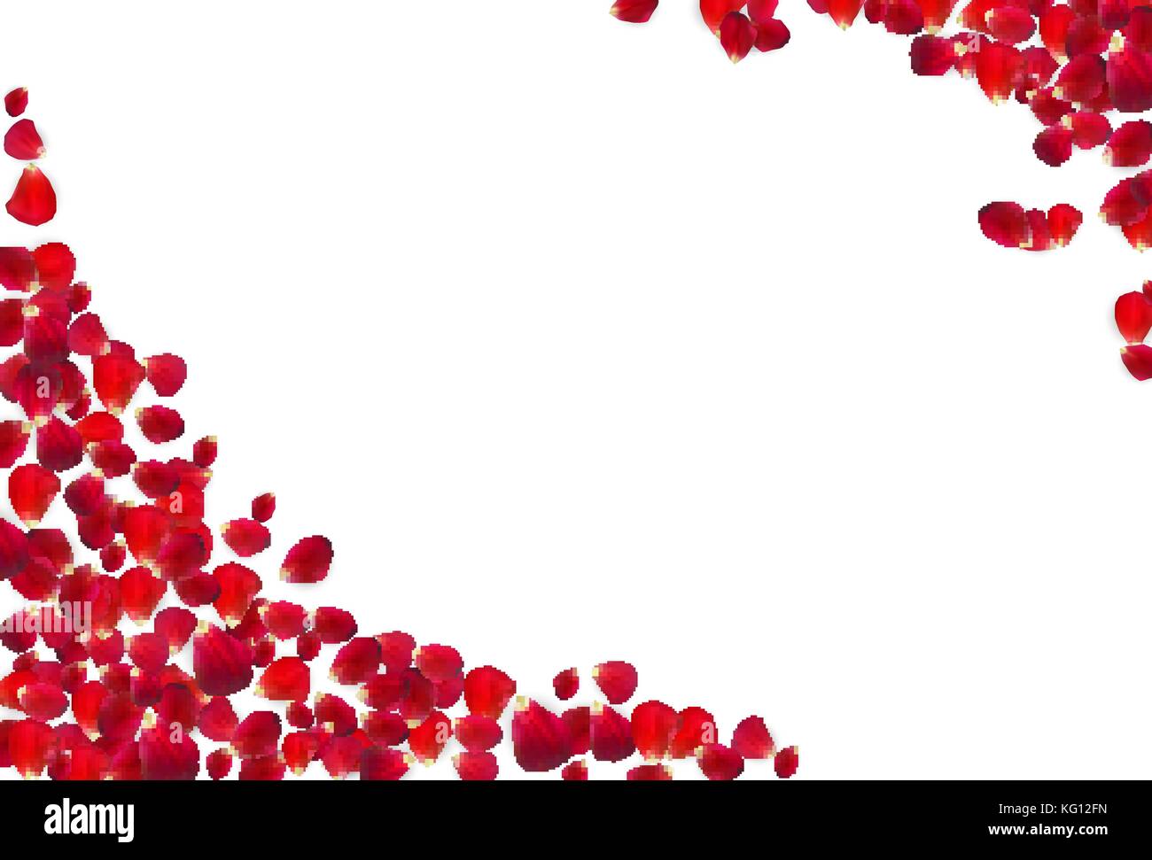 Background of Naturalistic Rose Petals. Vector Illustration Stock ...