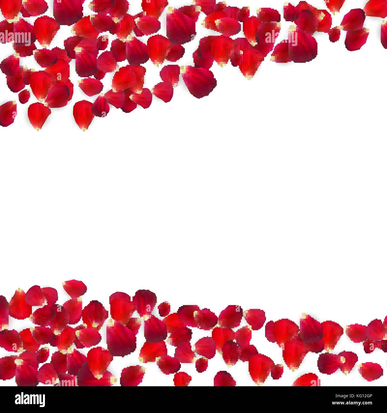 Background of Naturalistic Rose Petals. Vector Illustration Stock ...