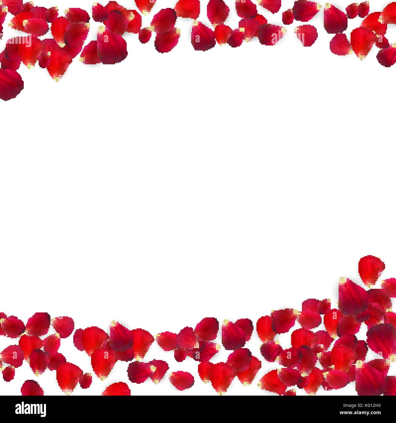 Background of Naturalistic Rose Petals. Vector Illustration Stock ...