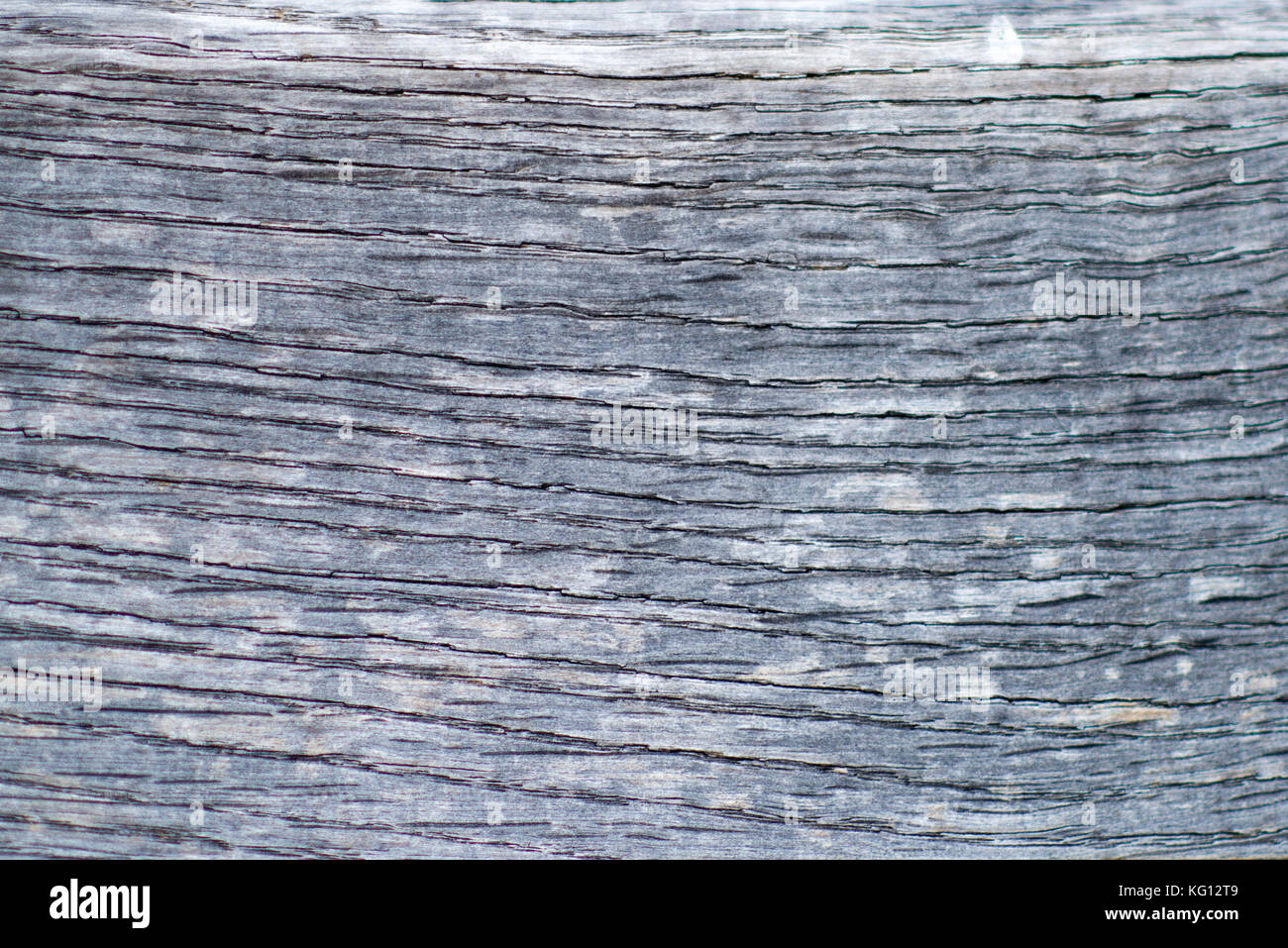 Natural gray wood textute to be used as background or overlay Stock ...