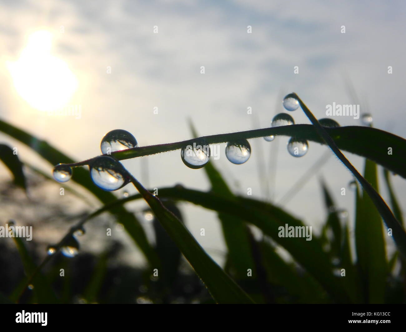 Sun reflection background hi-res stock photography and images - Alamy