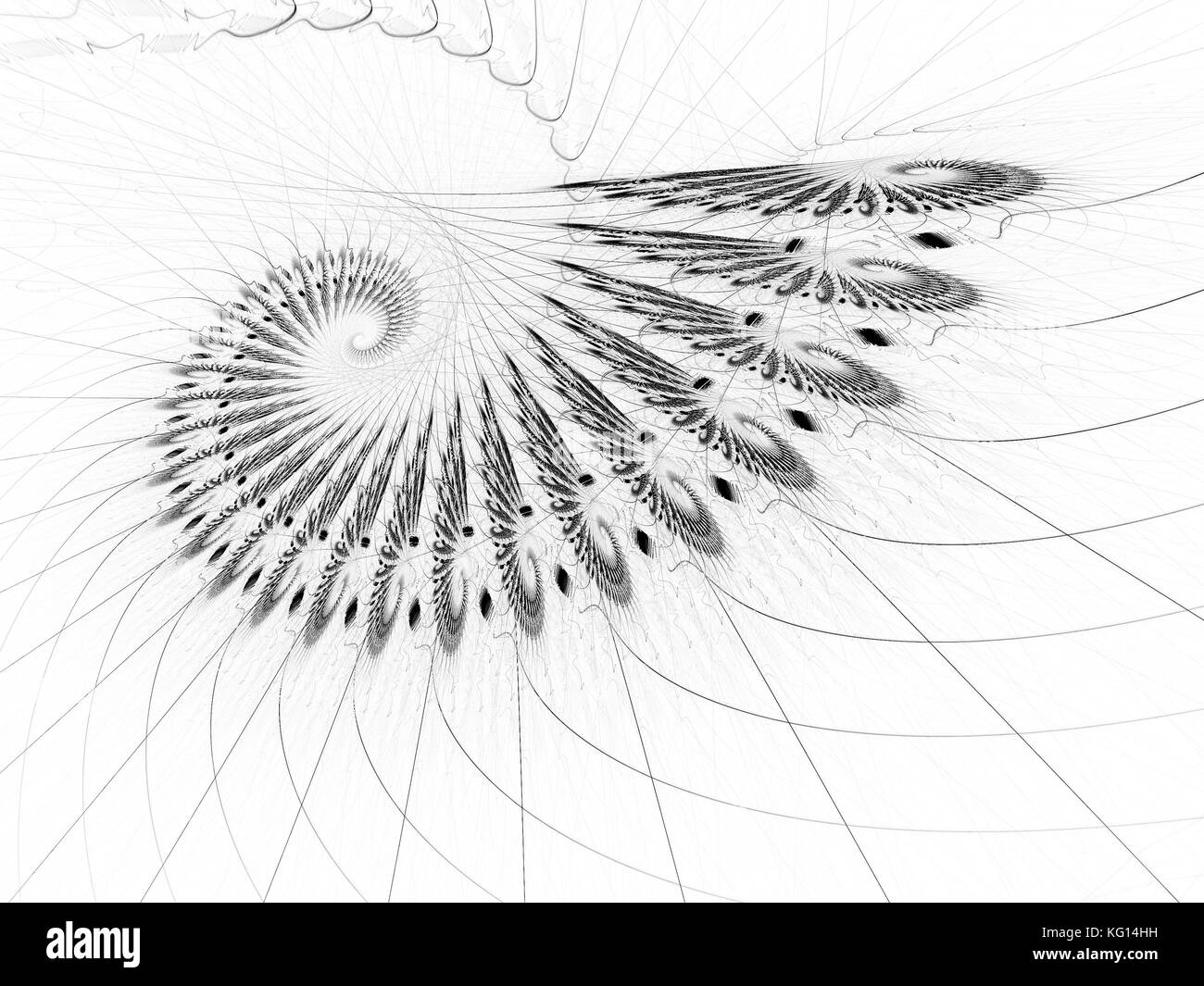 Complex lines decoration is a computer generated image for elegant ...