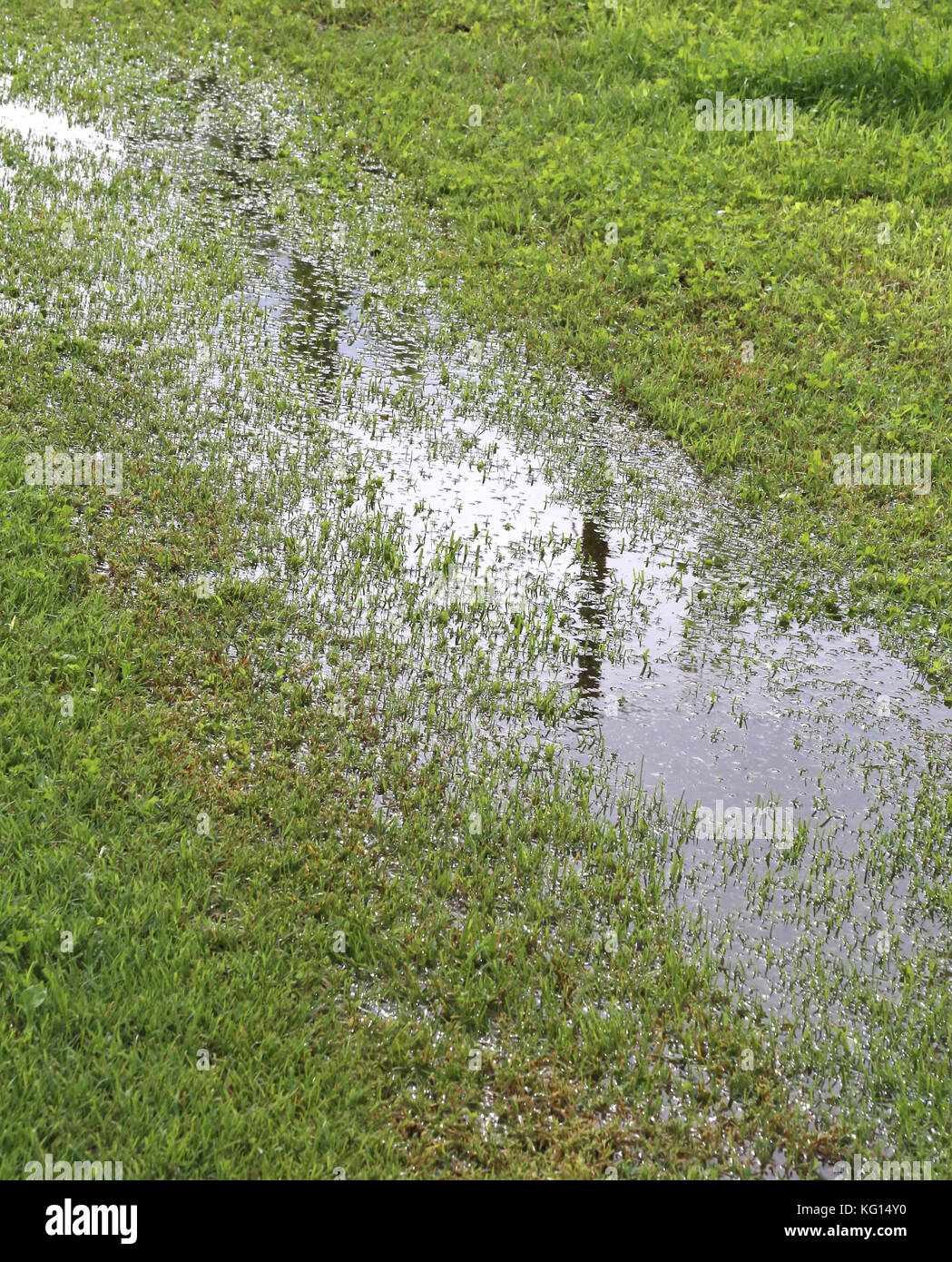 large puddle in the green meadow because the soil is too saturated with ...