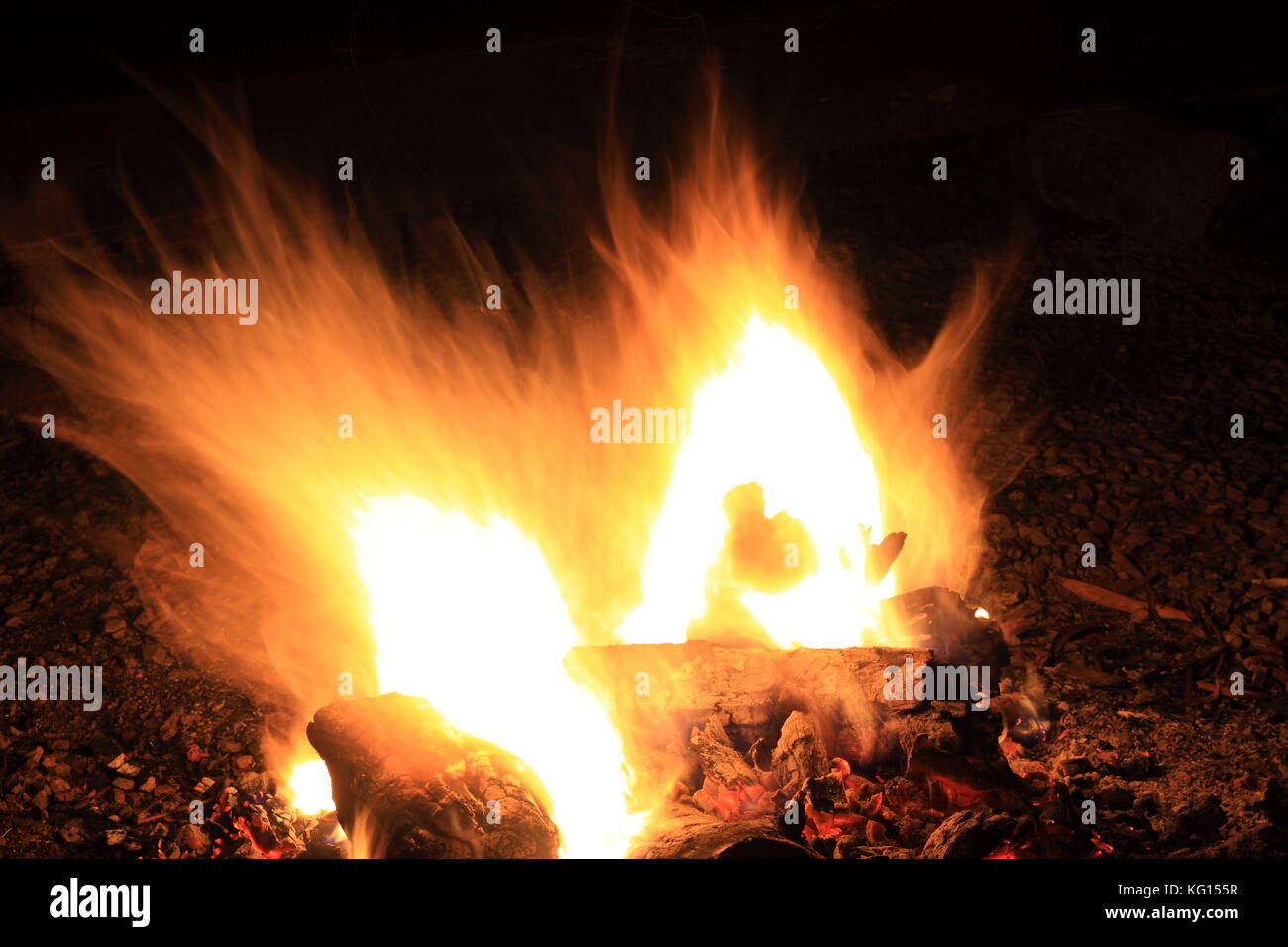 camp fire burning from coal wood in the night Stock Photo - Alamy