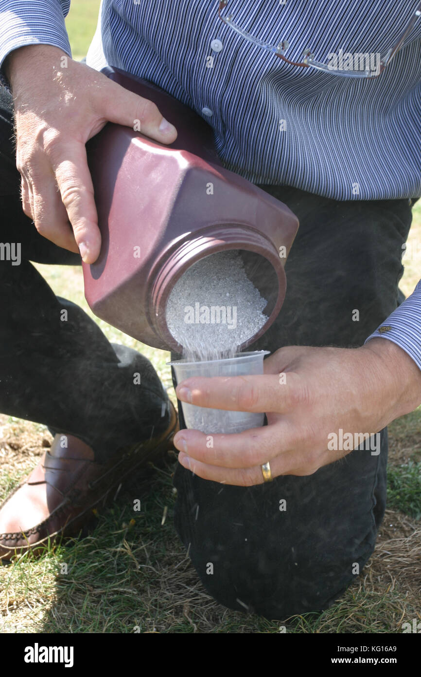 Scattering ashes hi-res stock photography and images - Alamy