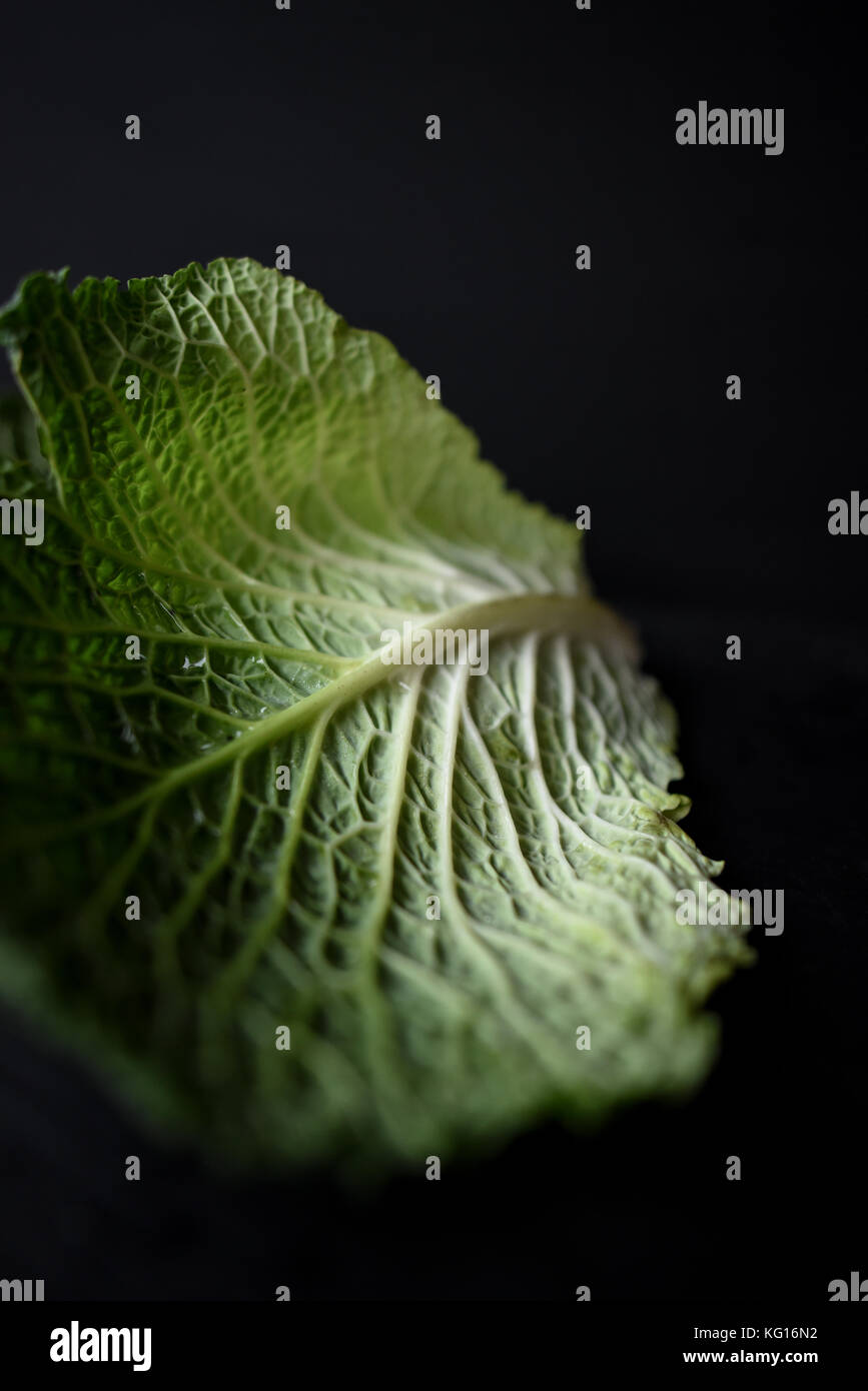 Cabbage recipes hi-res stock photography and images - Alamy
