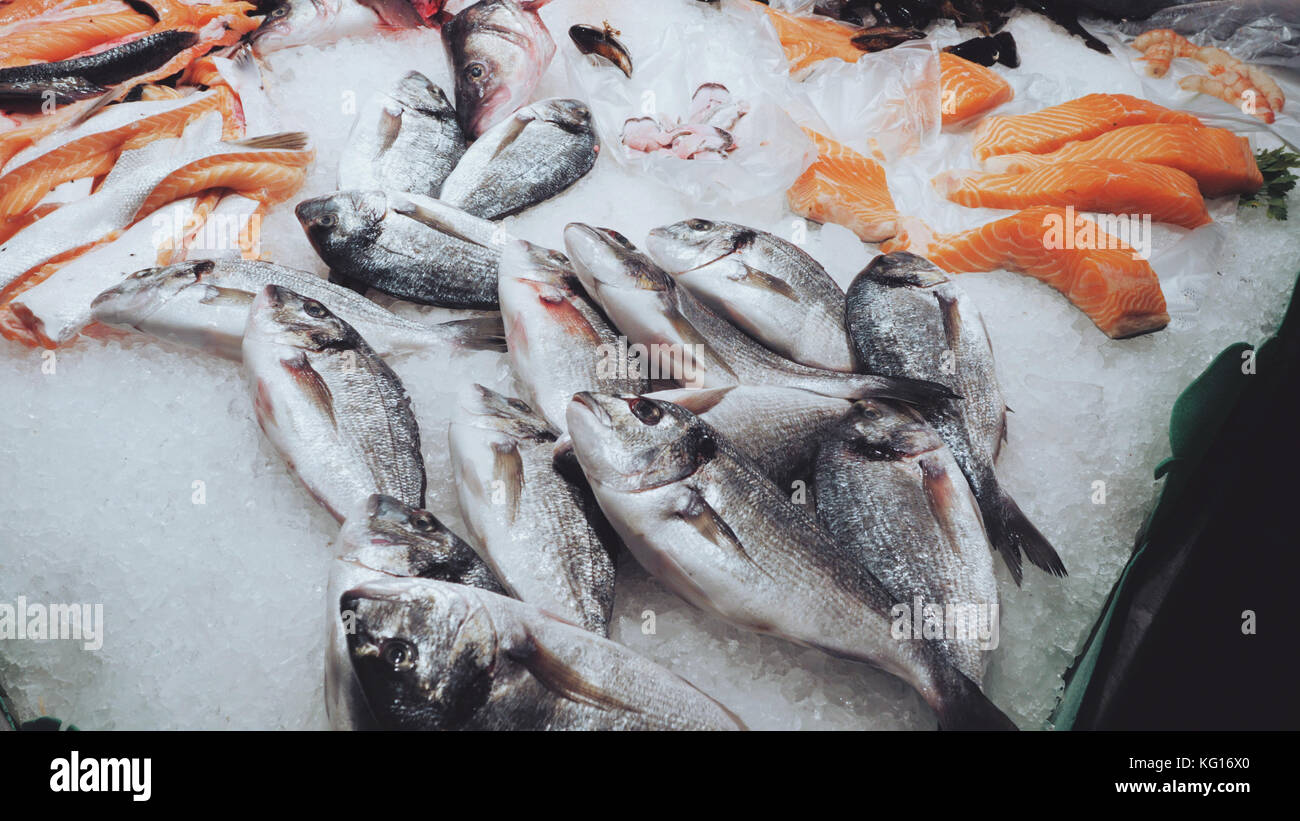 Fish department store. Seafood in the shop window. Raw fresh meat is ...