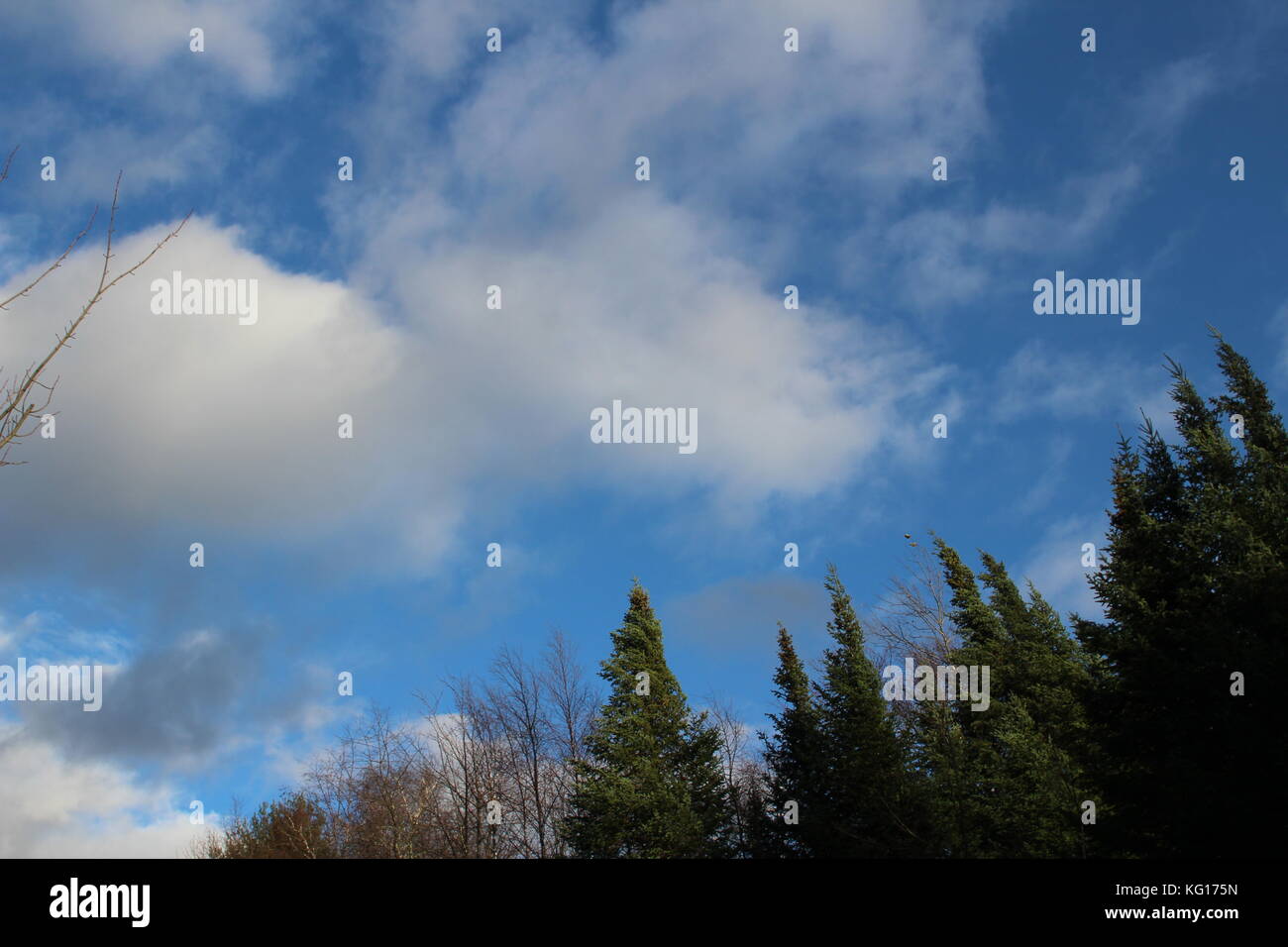Environmnt hi-res stock photography and images - Alamy