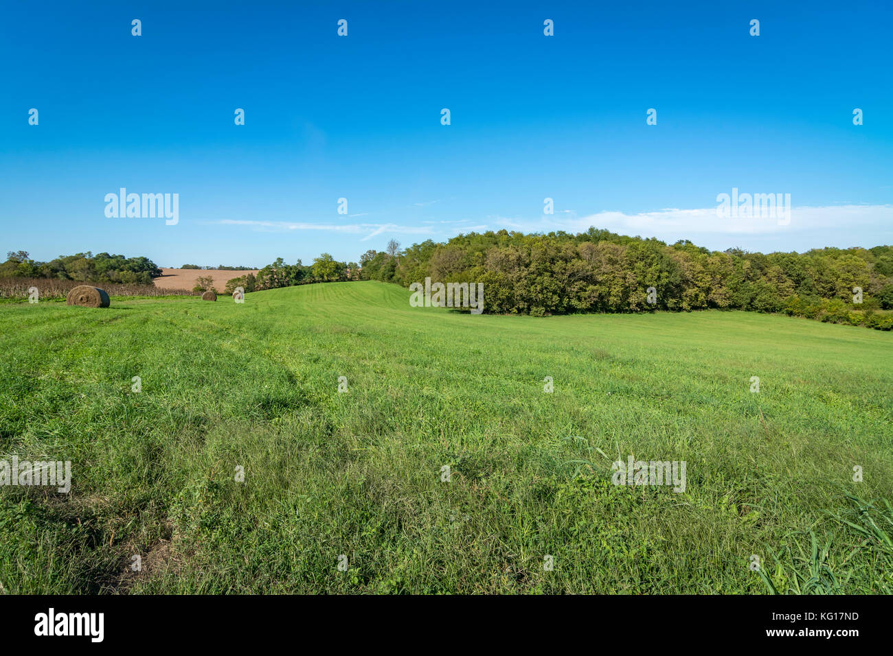Rolling landscape kentucky bluegrass hi-res stock photography and ...