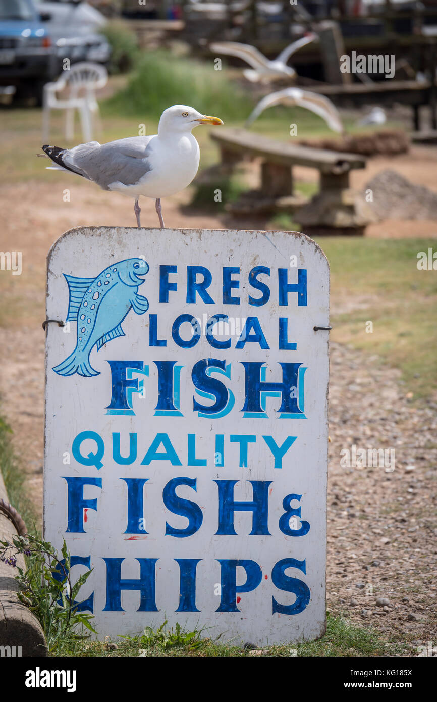 Fresh local fish Southwold Suffolk England Stock Photo - Alamy
