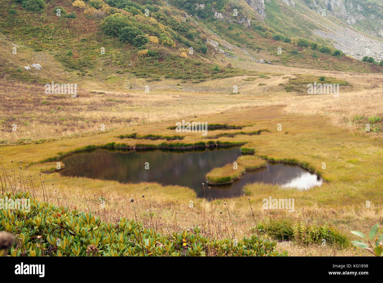 a view of the swampy, reed overgrown lake in a mountain valley with ...