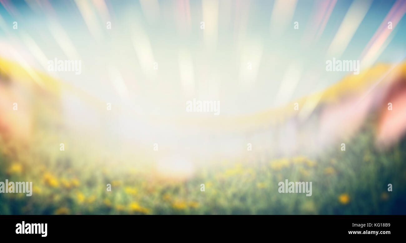 Blurred summer nature background with flowers, grass and sun rays Stock ...