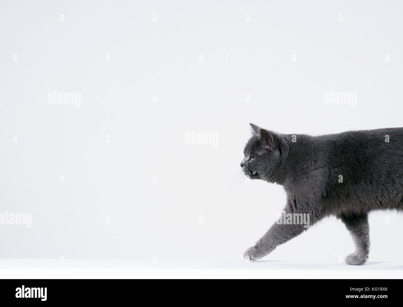 Walking Sequence High Resolution Stock Photography and Images - Alamy