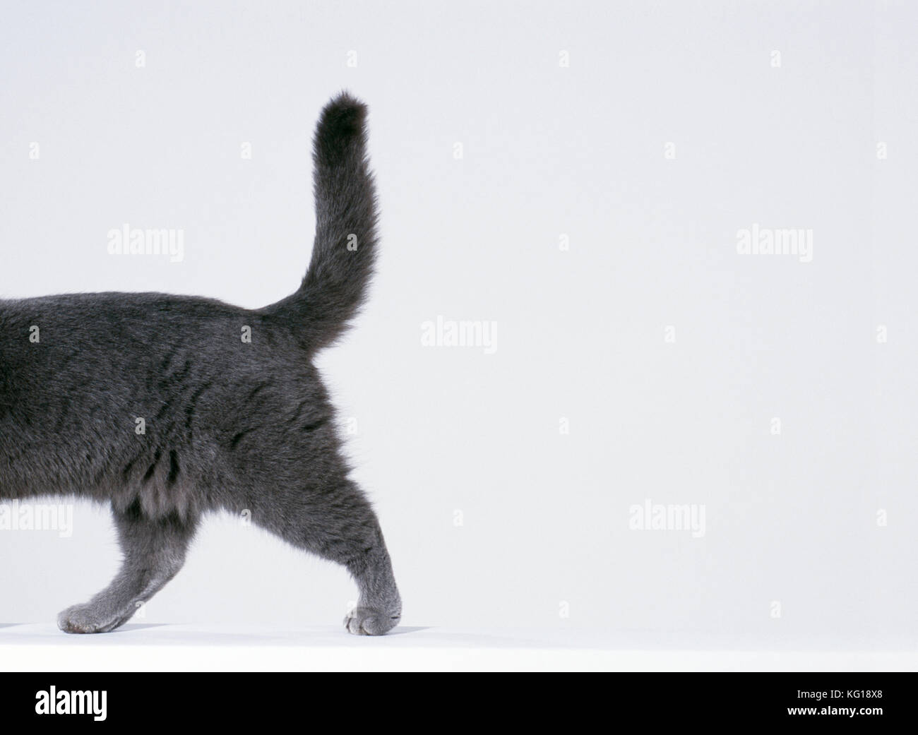 Walking sequence hi-res stock photography and images - Alamy