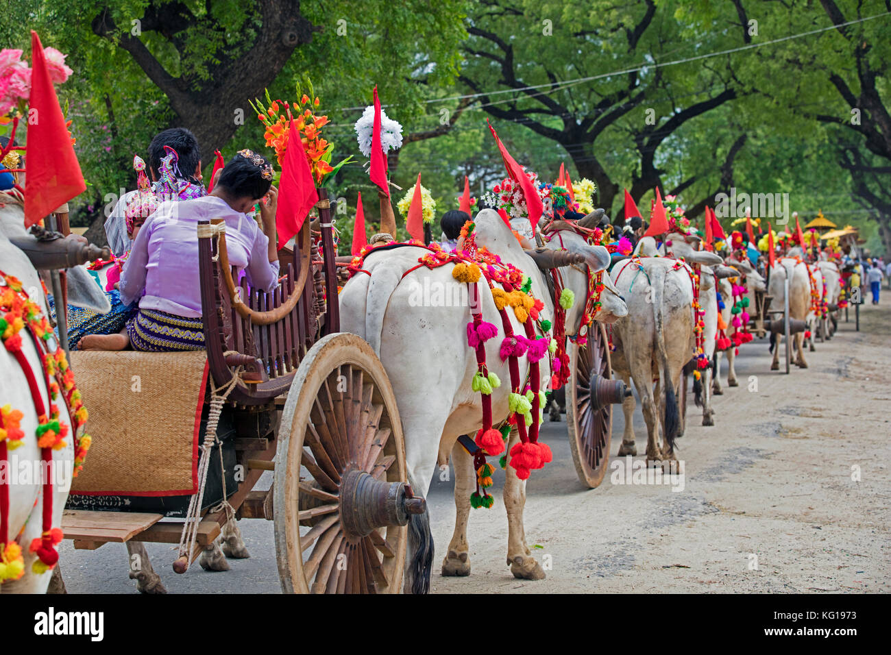 Traditional parade for Burmese children becoming a novice monks in the ...