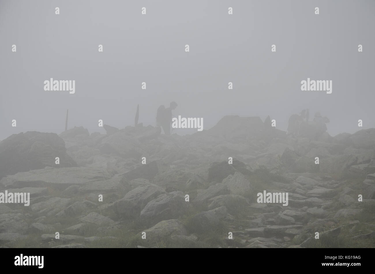 People in the fog Stock Photo - Alamy