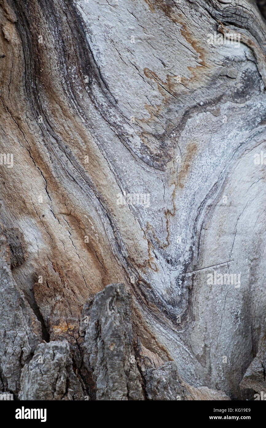 Wood pattern hi-res stock photography and images - Alamy