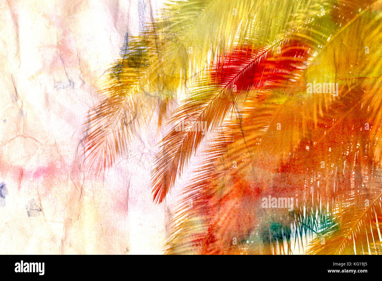 Retro beautiful multicolored palm trees at sunset Stock Photo - Alamy