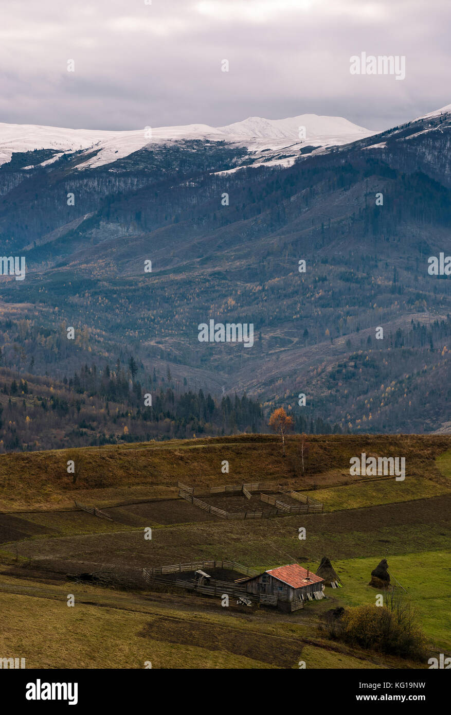 rural area in snowy alpine mountains. gloomy scenery with woodshed ...