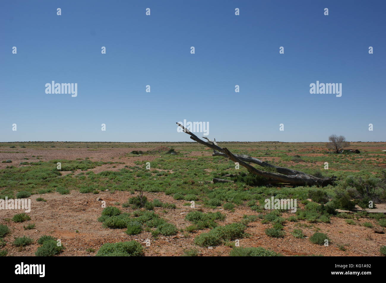 Oodnadatta track hi-res stock photography and images - Alamy