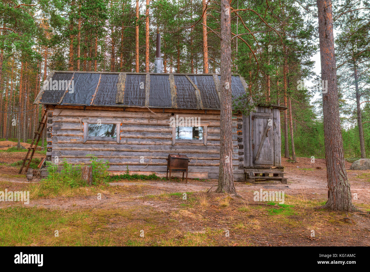 Hut in a pine forest in summer cloudy day Stock Photo - Alamy