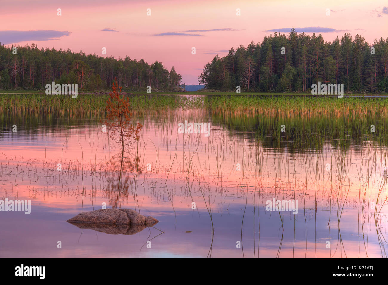 Evening landscape on the lake with beautiful sky Stock Photo - Alamy
