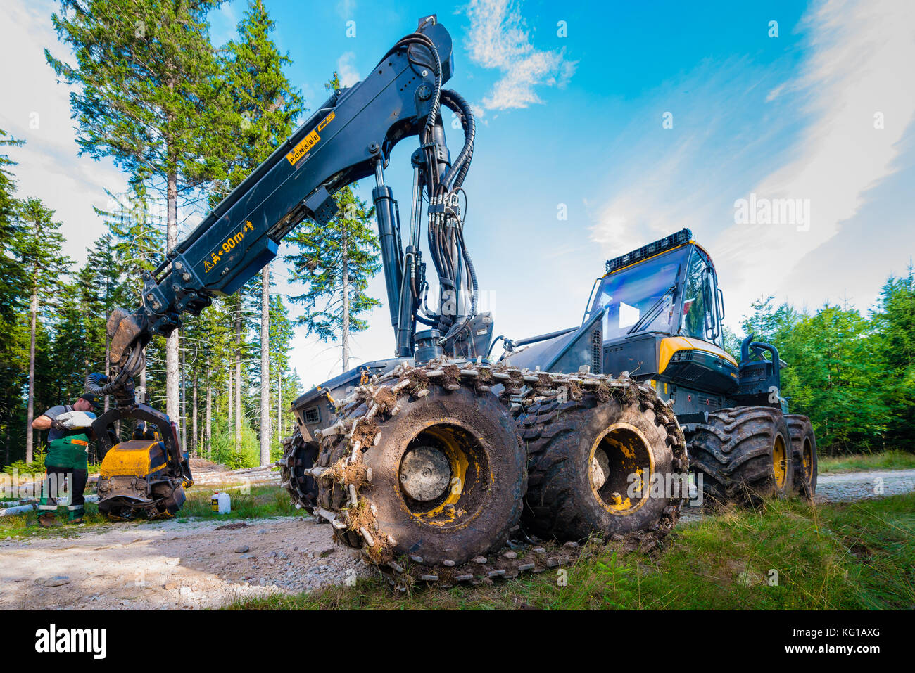 Timber harvester cutting hi-res stock photography and images - Alamy