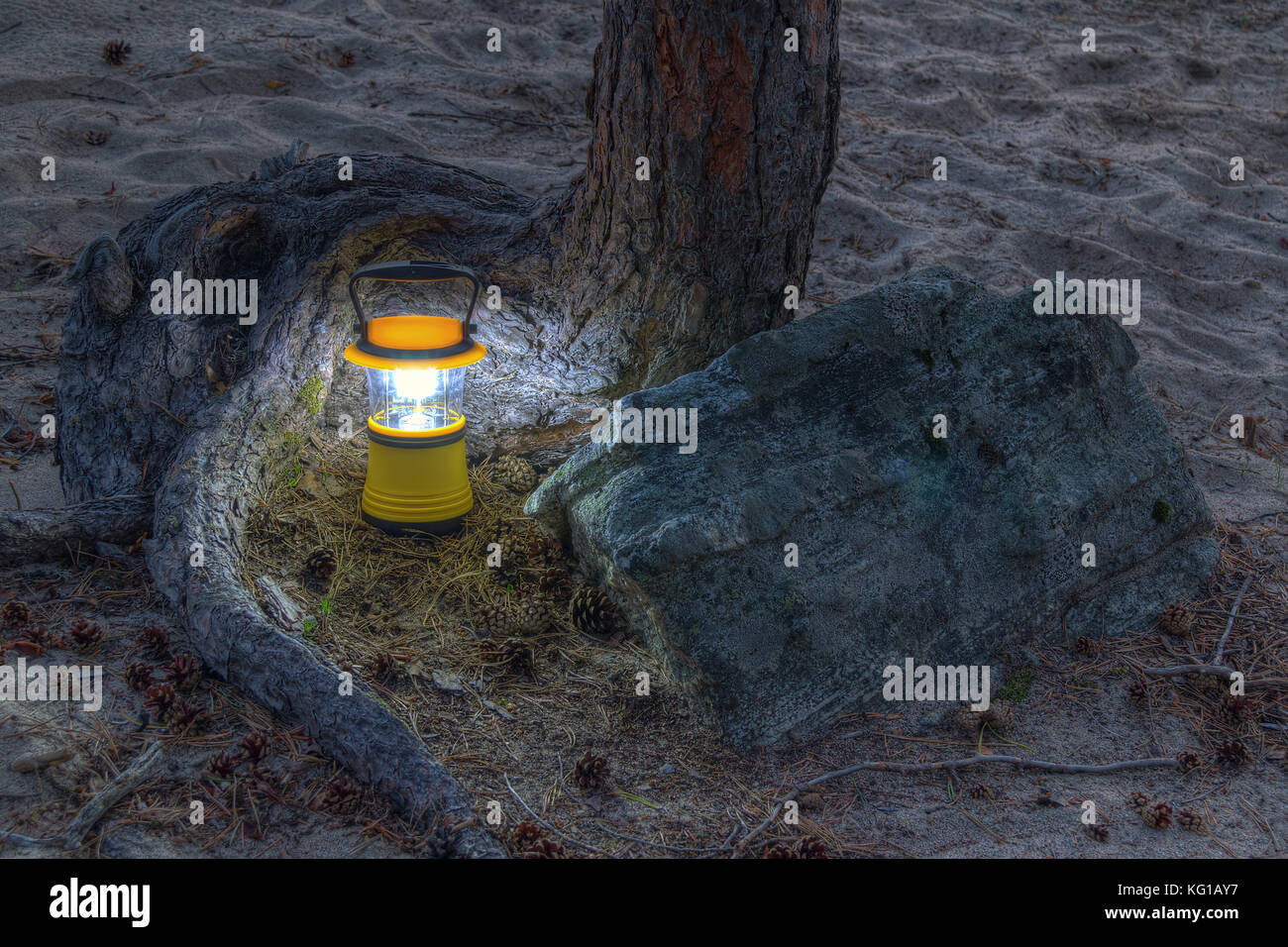 Luminous hand lantern standing on sand surrounded by tree trunk and ...