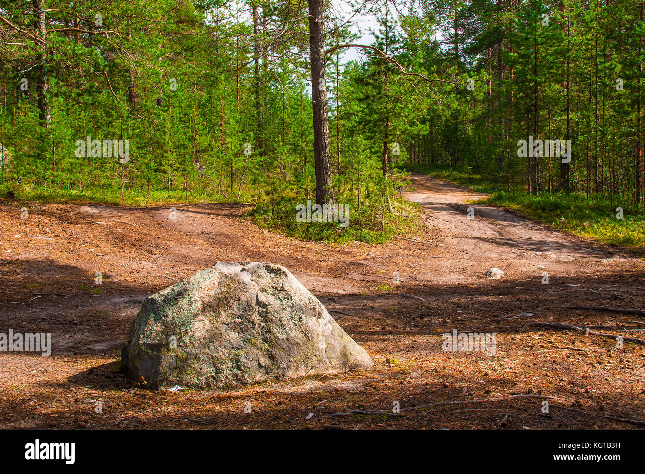 Big boulder lying on the road in forest in summy summer day Stock Photo ...