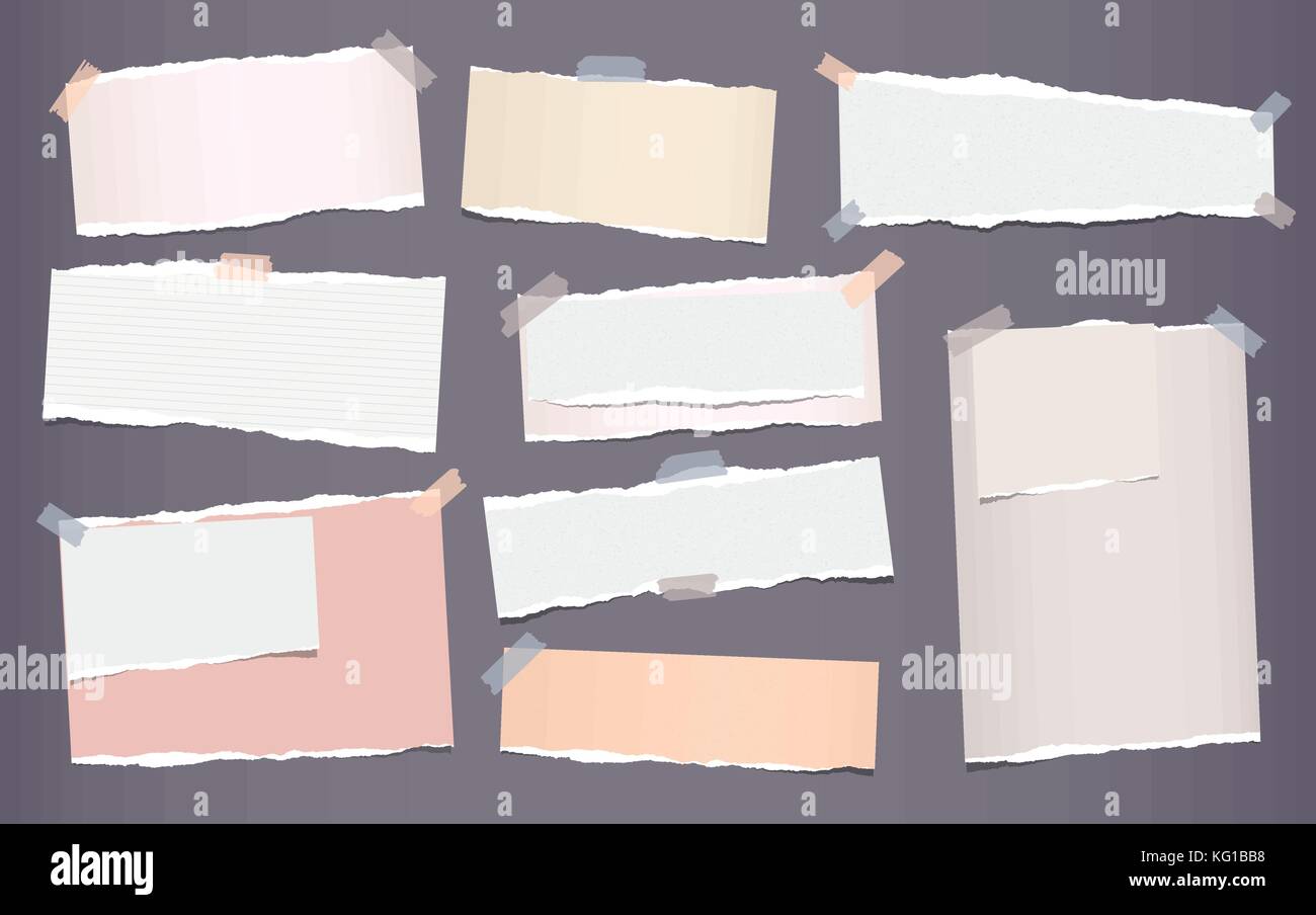 White and colorful ripped strips, notebook, note paper for text or ...