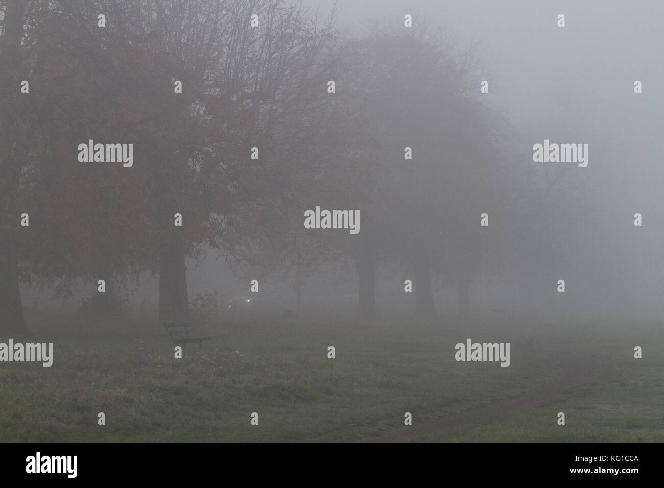 London, UK. 2nd Nov, 2017. Trees covered in thick morning fog on ...