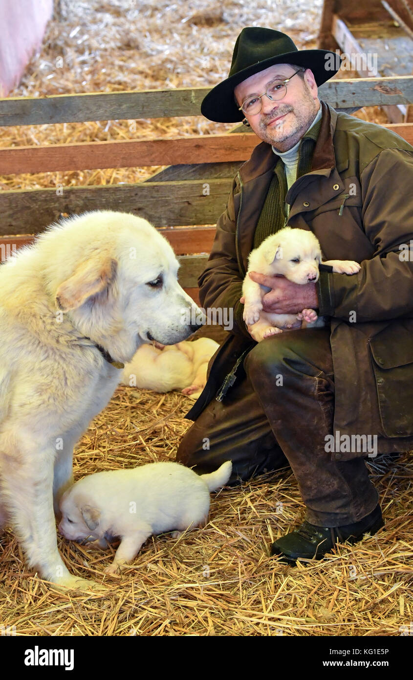 Shepherd Knut Kucznik from Altlandsberg showing a puppy about three ...