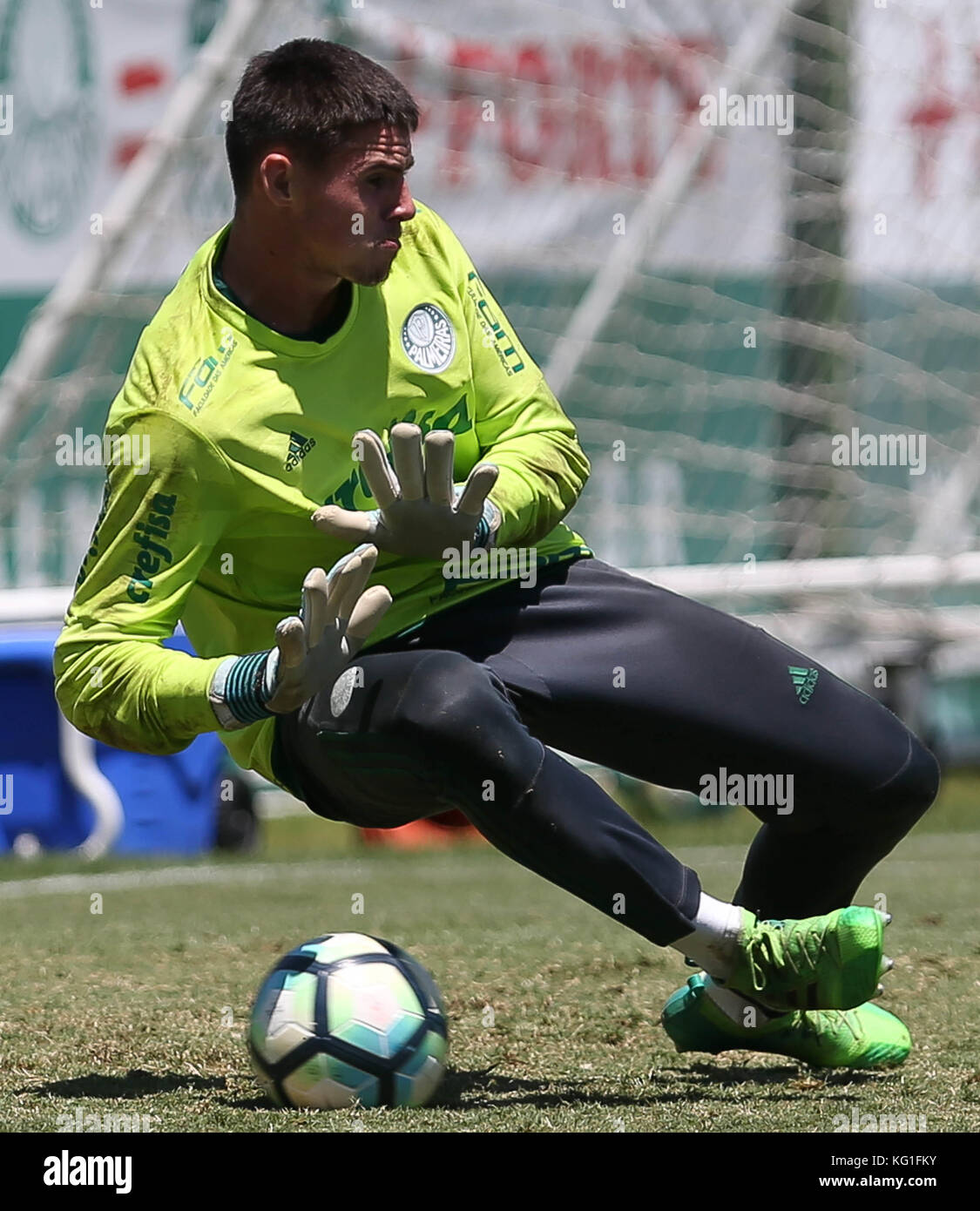 SÃO PAULO, SP - 02.11.2017: TREINO DO PALMEIRAS - Goalkeeper Matheus ...