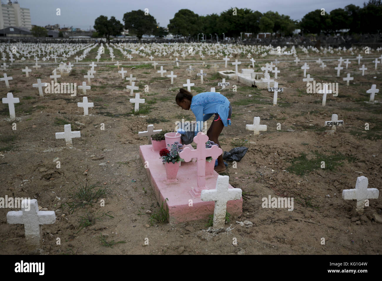 Girl works cleaning tomb on the day of the dead. 2nd Nov, 2017. Photo ...