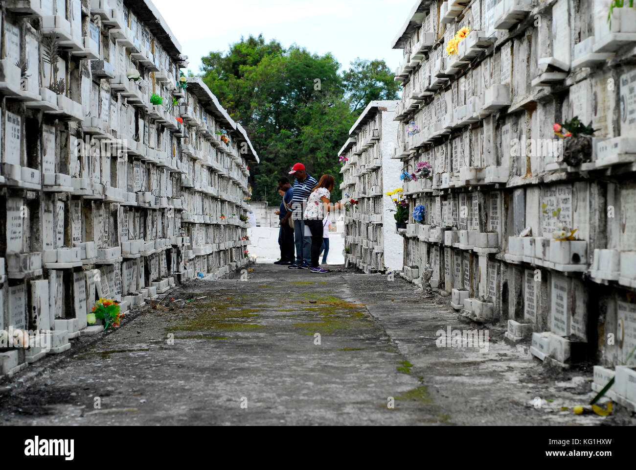 Cemetery in rio de janeiro hi-res stock photography and images - Alamy