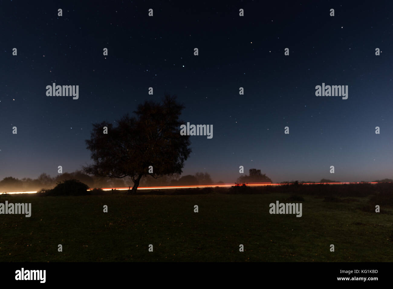 Streak of light in dark night from car headlights with tree in the ...