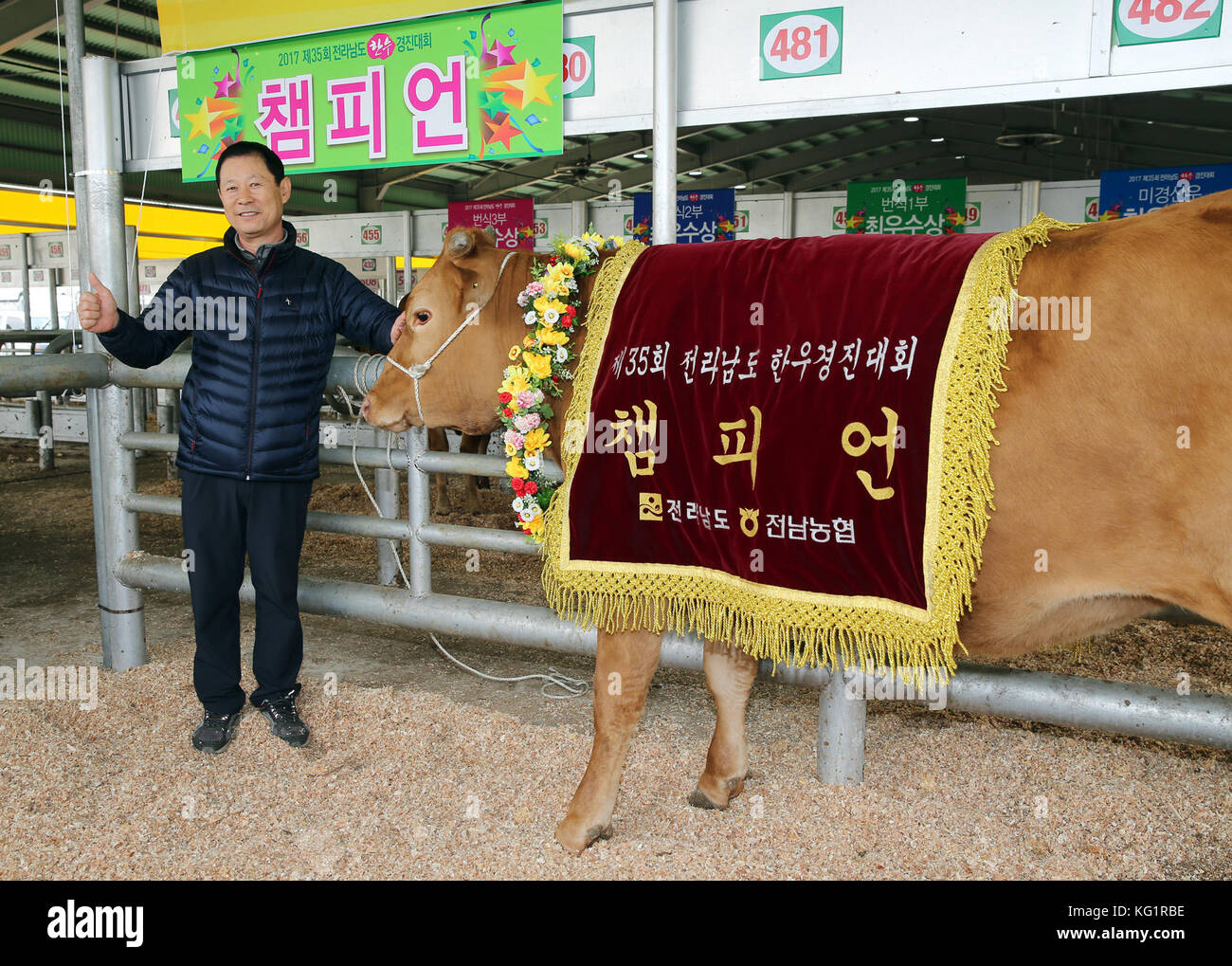 03rd Nov, 2017. Korean native cattle champion A farmer celebrates at an ...