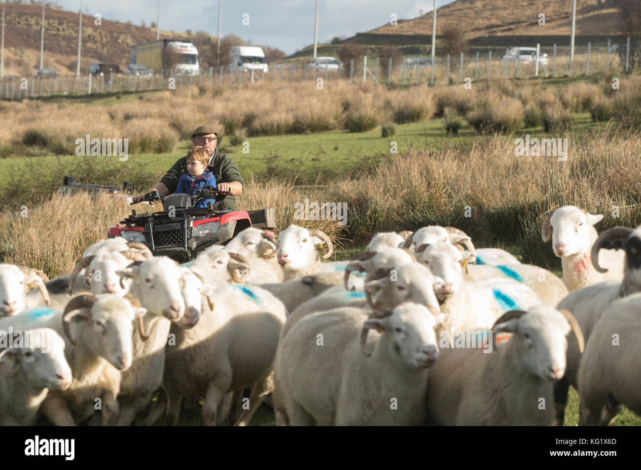 Farmer Paul Thorp with his son John Thorp at Stott Hall farm near ...