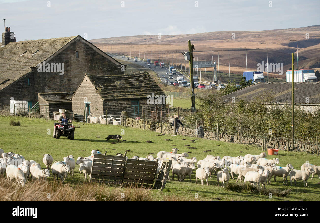 Farmer Paul Thorp with his son John Thorp at Stott Hall farm near ...