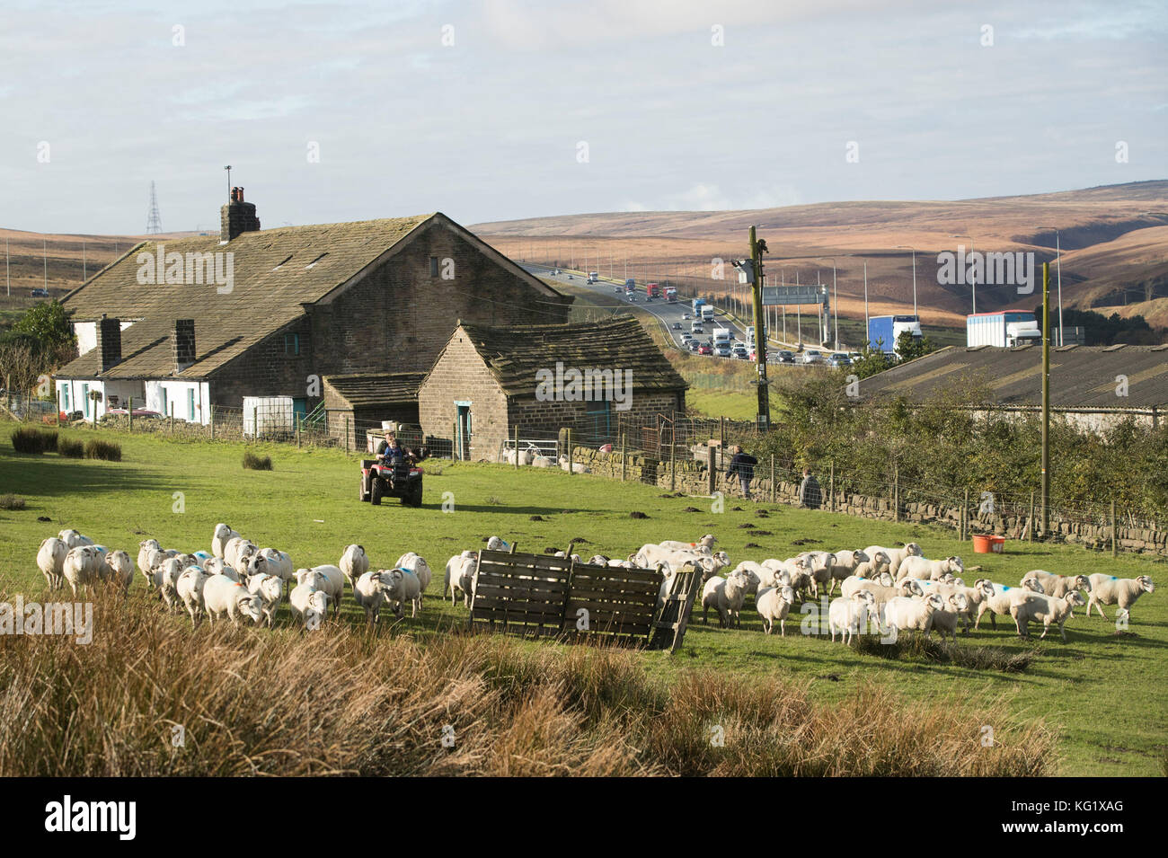 Farmer Paul Thorp with his son John Thorp at Stott Hall farm near ...