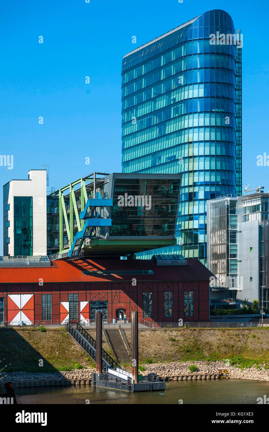 Maki solitar hi-res stock photography and images - Alamy