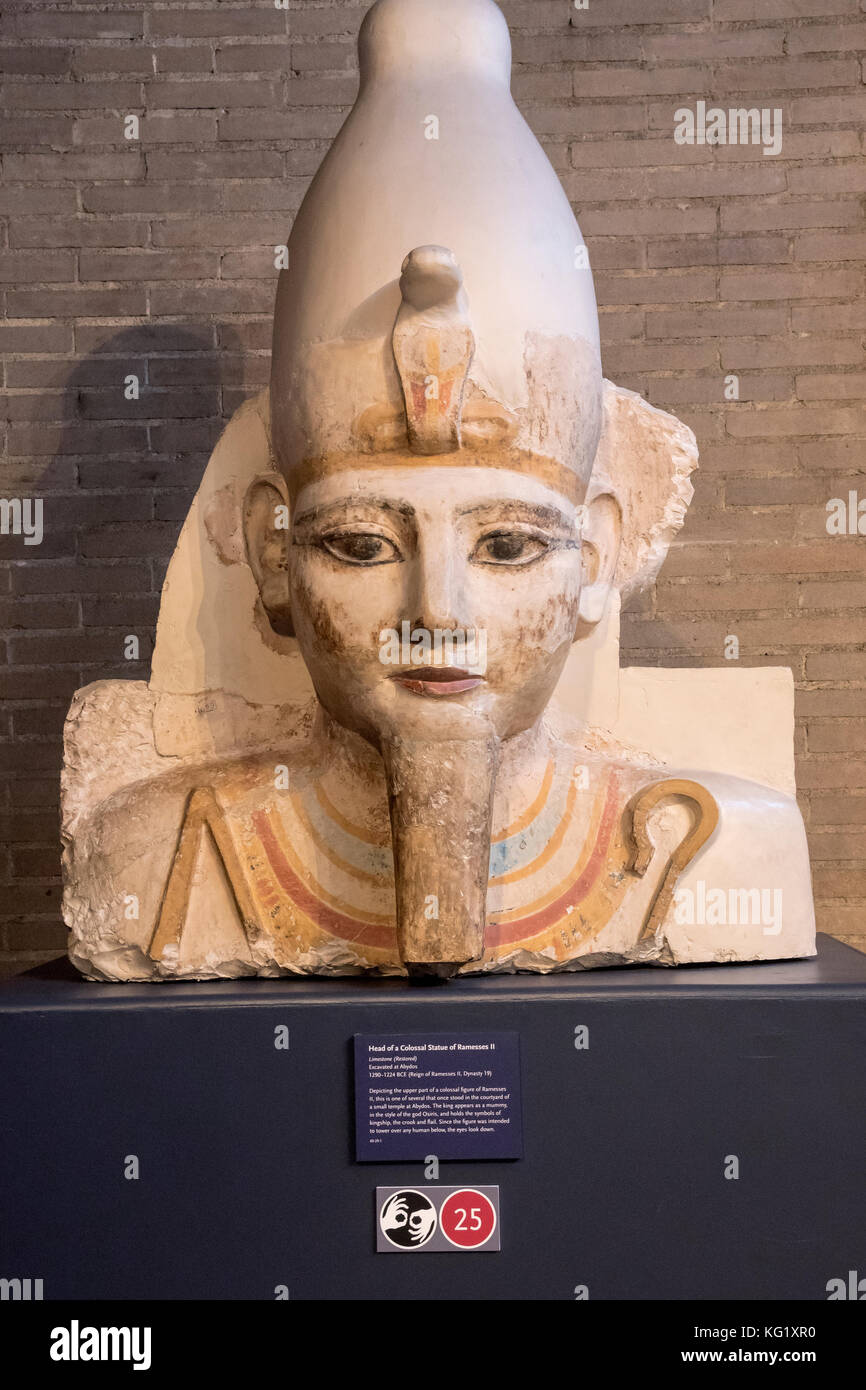 Head of colossal statue of Ramses II, University of Pennsylvania Museum ...