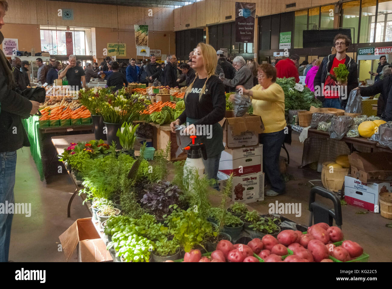 Toronto, Ontario, Canada : St. Lawrence Market - Farmer's Market ...