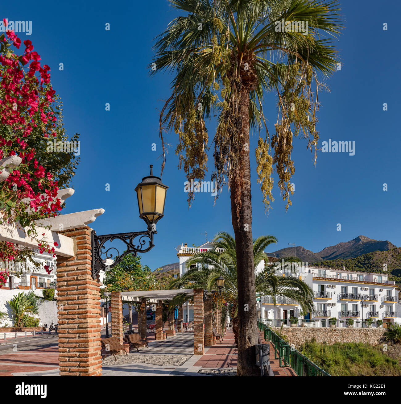 Balcon de Maro, Spain *** Local Caption *** city, village, forest, wood ...