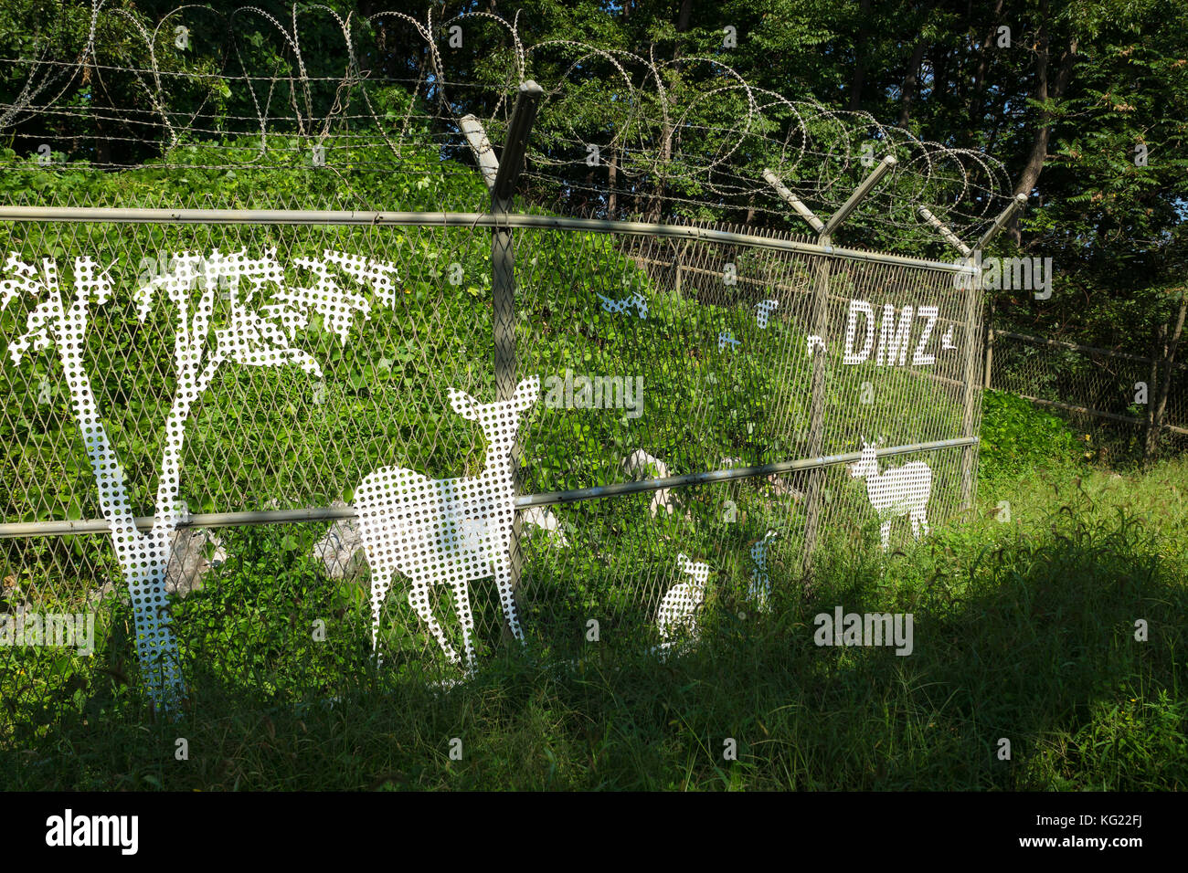 Korea dmz deer hi-res stock photography and images - Alamy