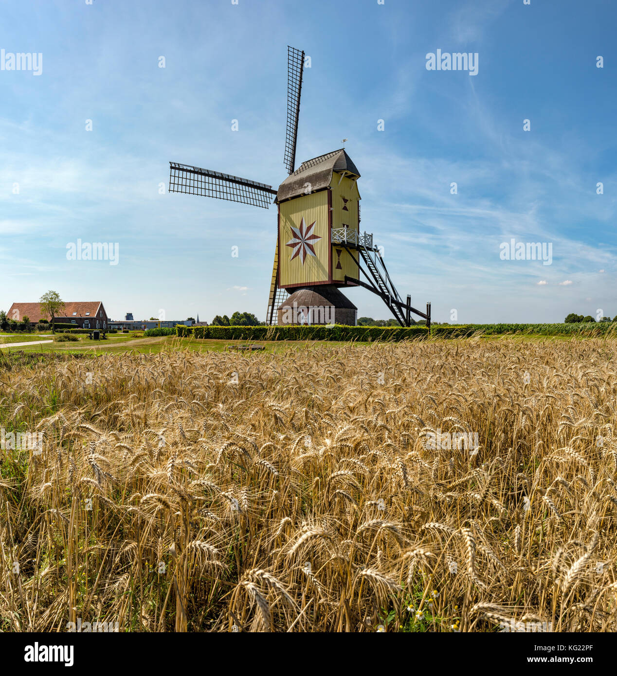 Post mill The Star, Netherlands *** Local Caption *** windmill, field ...