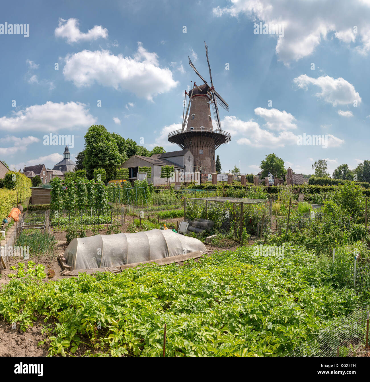 Tower mill called De Nijverheid, allotments, Netherlands *** Local ...