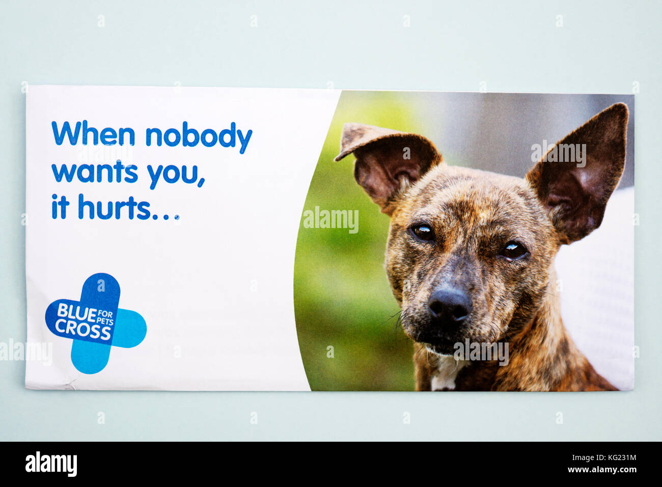 Blue Cross animal charity donation envelope Stock Photo - Alamy